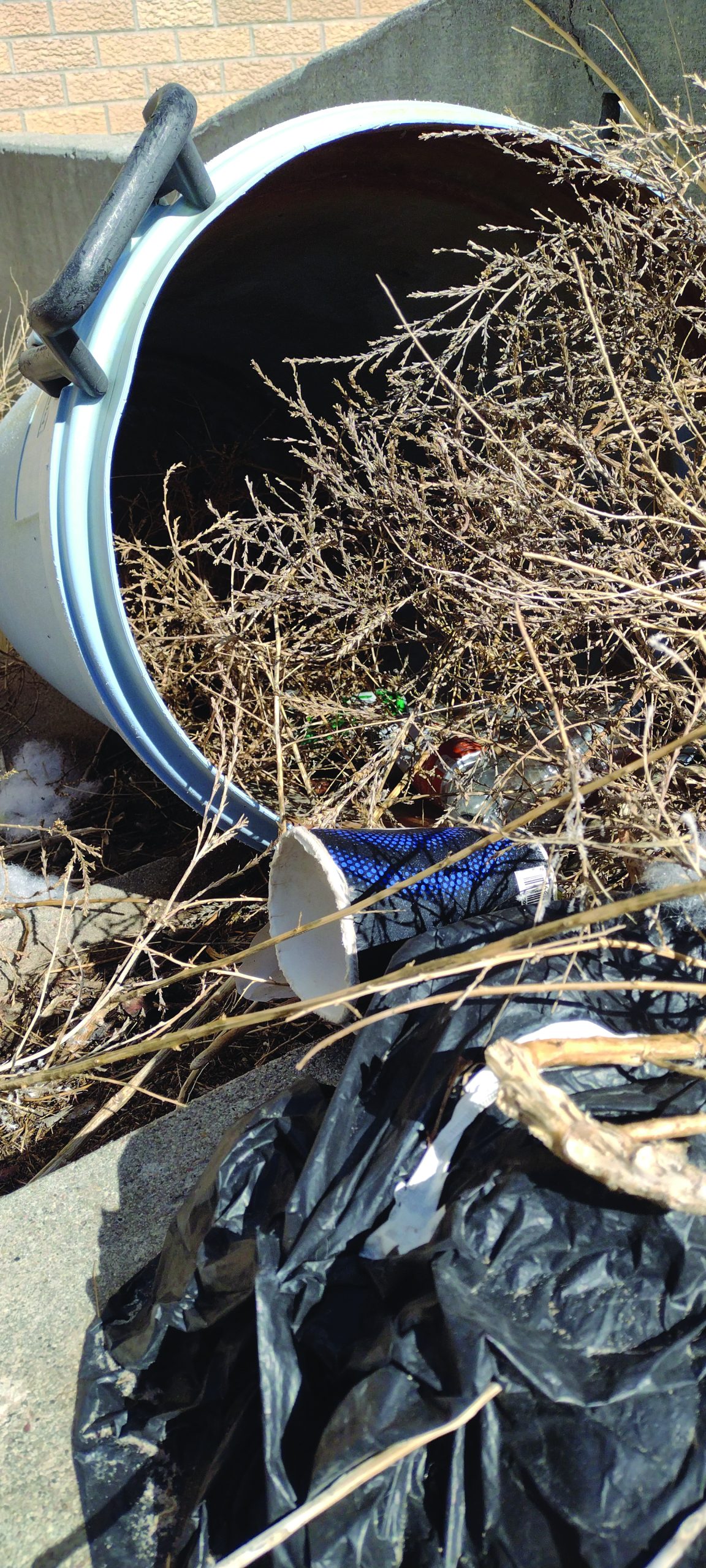 National Litter Study Examines What Americans Throw Away - Alliance ...